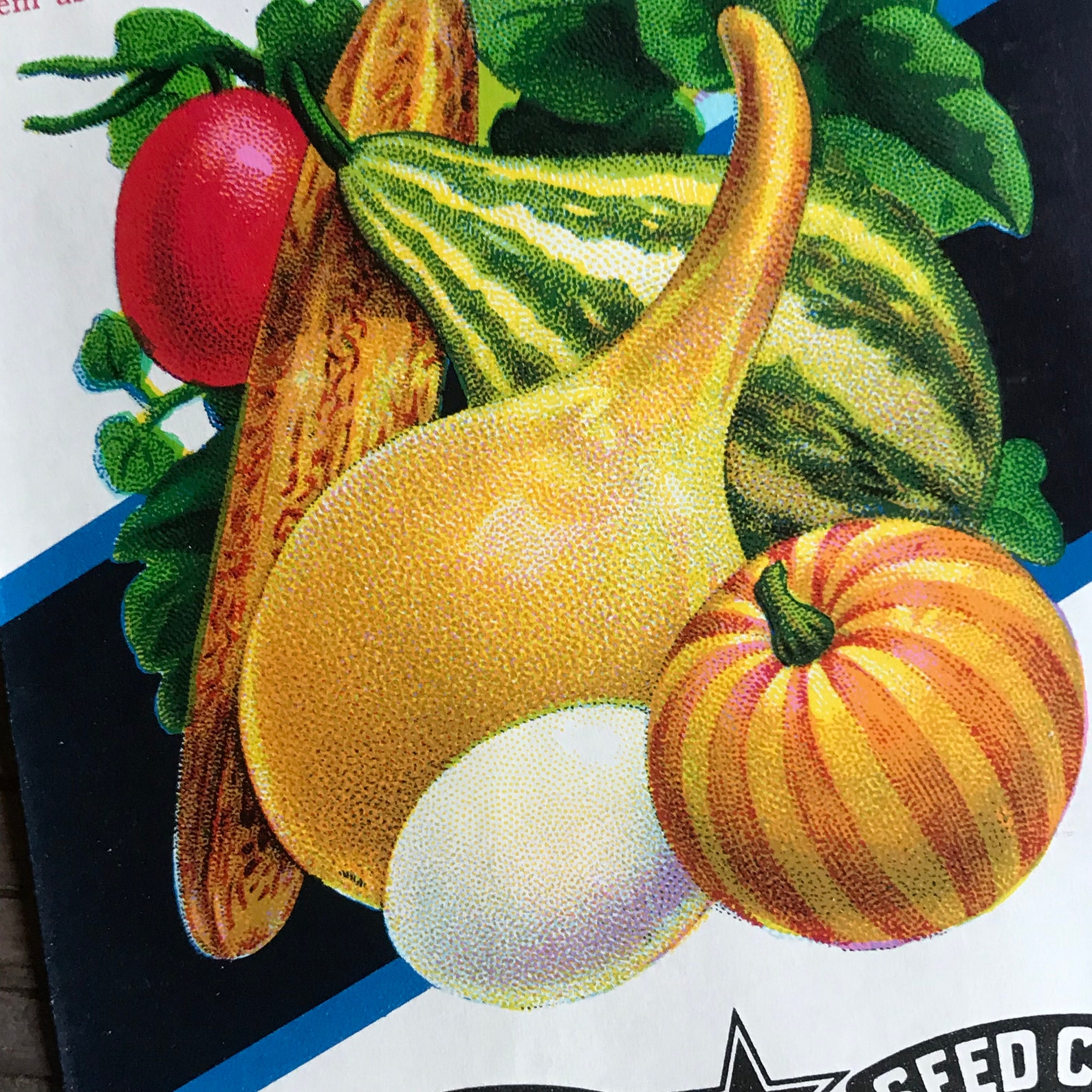 Vintage Gourds Seed Packet Pack Fall Autumn Decor Lone Star Seed Co ...