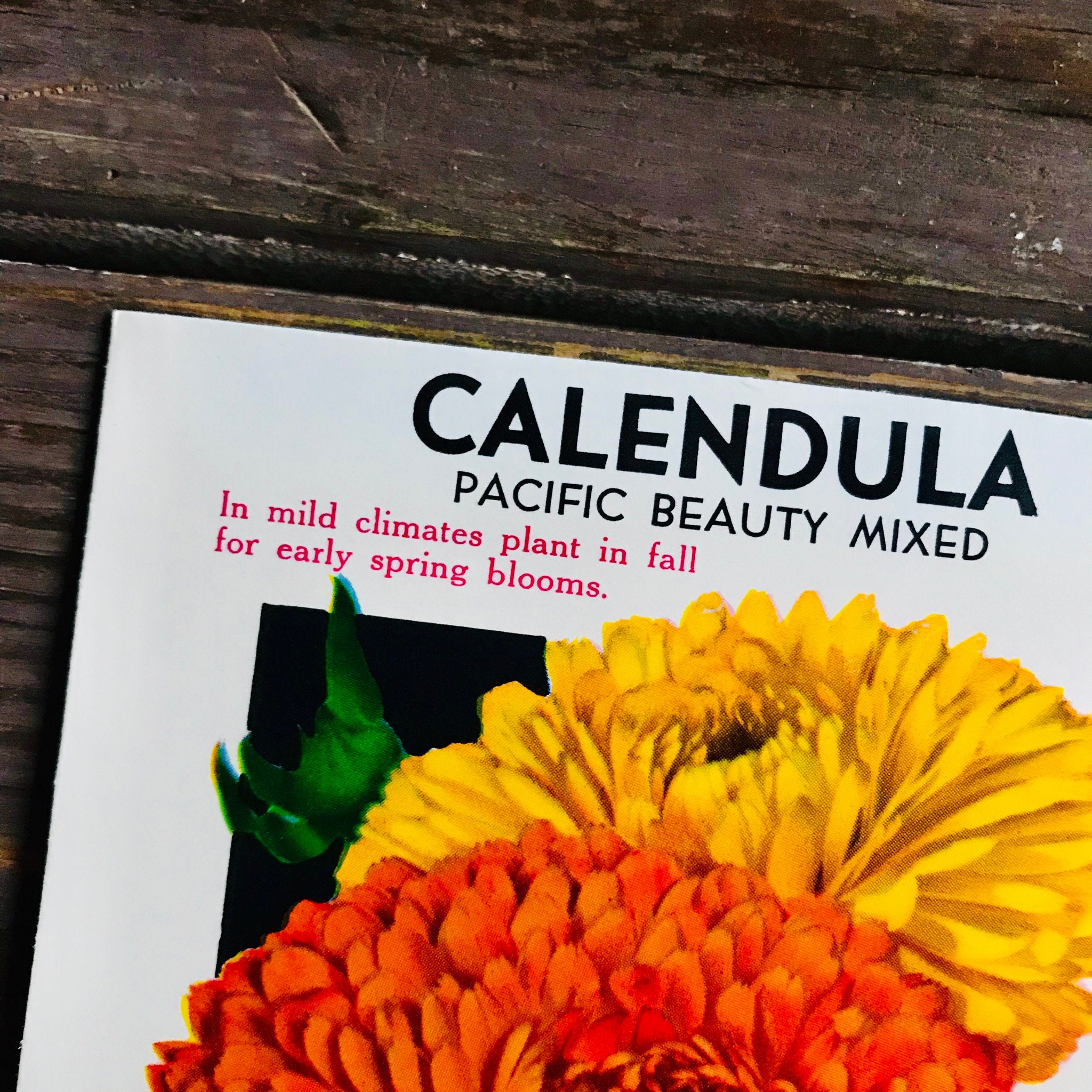 Vintage Calendula Seed Packets Lone Star Seed Company Texas | Etsy