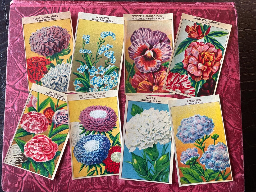 Vintage French Flower Seed Packet Labels Set of 8 - Etsy