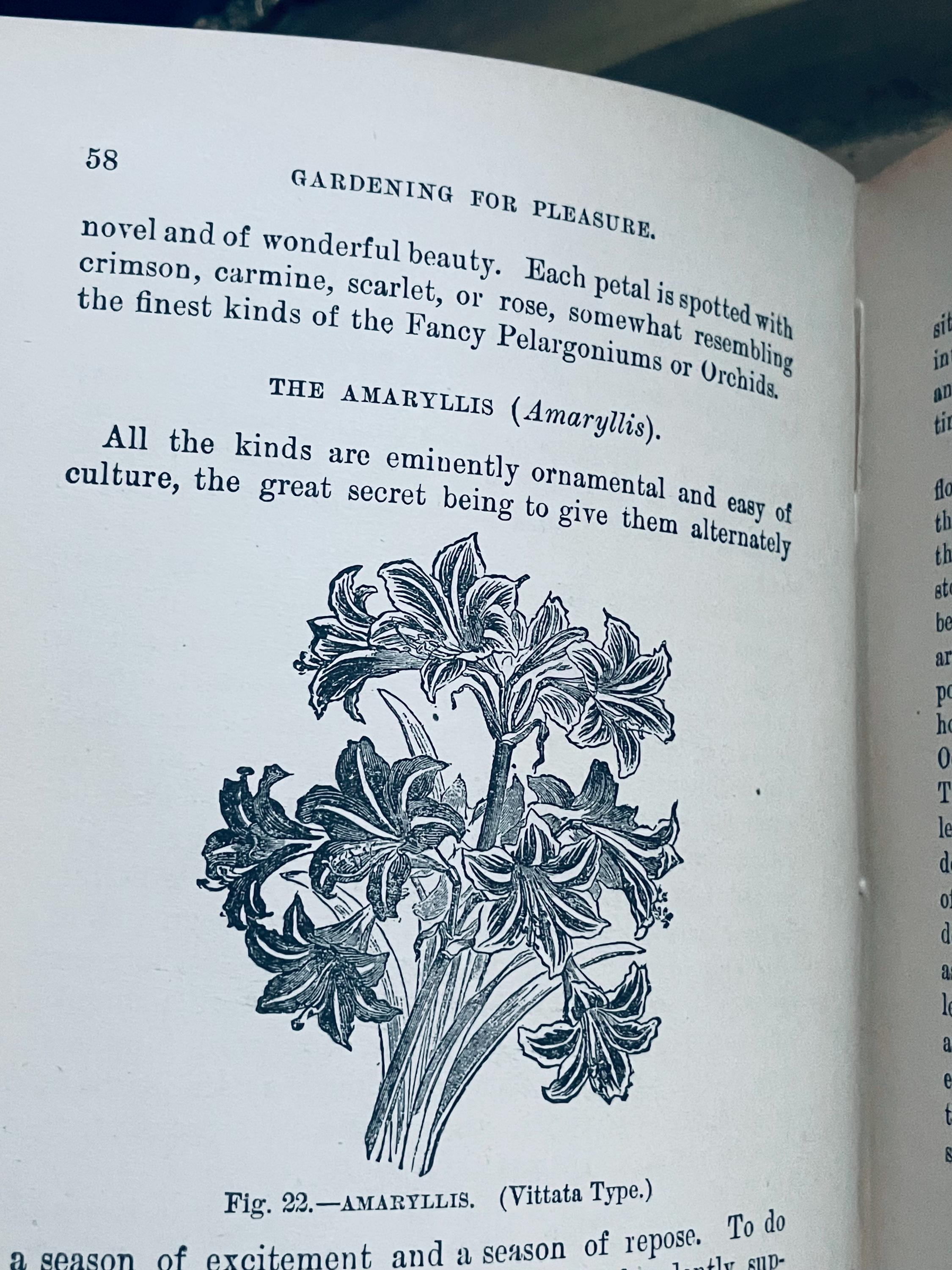 Gardening for Pleasure 1889 Antique Hardback Plant Flower Vegetable ...