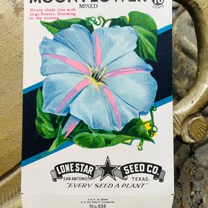 Vintage Flower Seed Packet Collection Set of 8 - Etsy