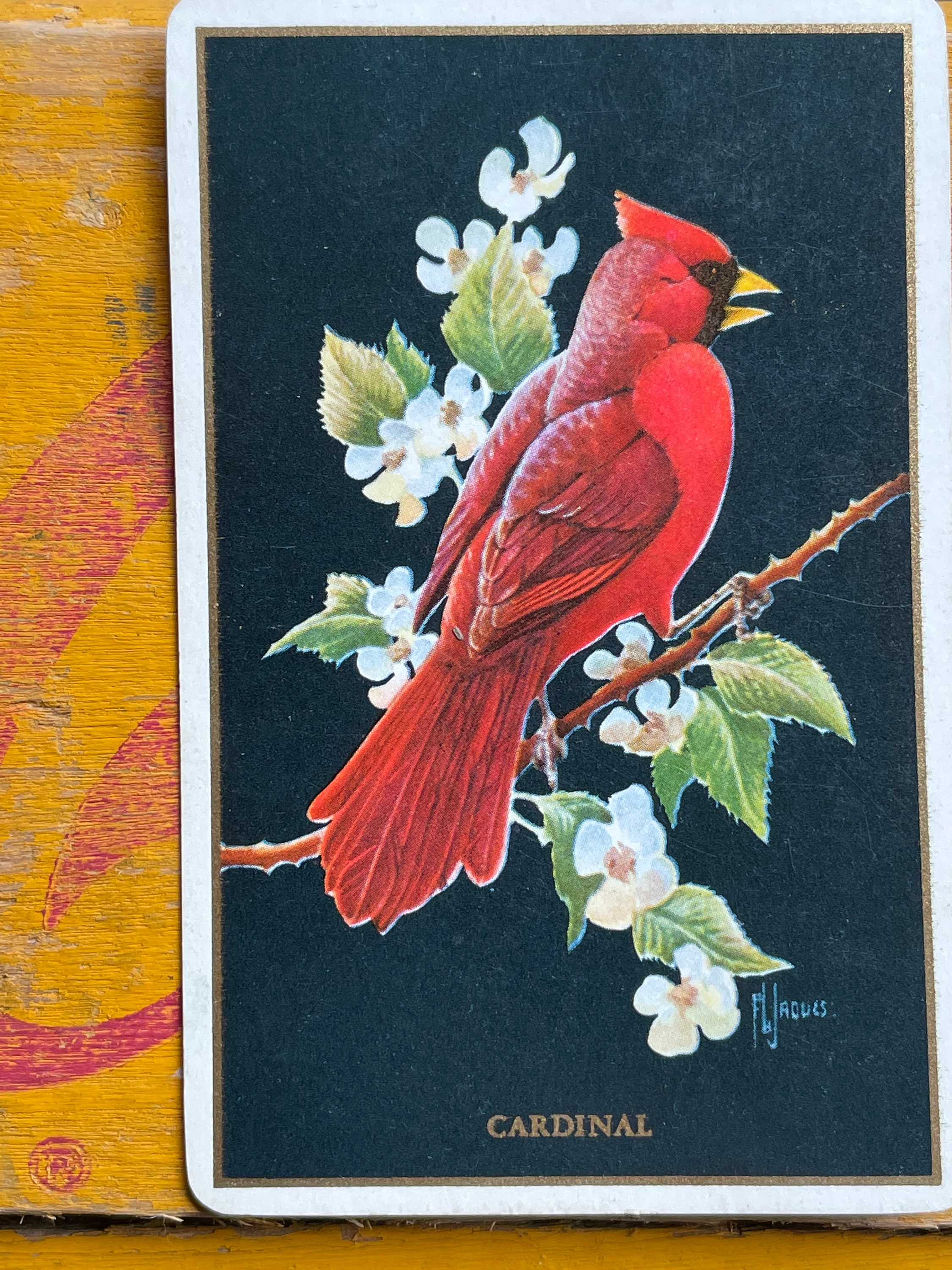 Vintage Bird Playing Cards Cardinal Oriole With Flowers | Etsy