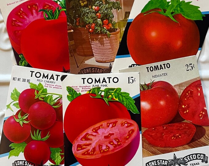 Vintage Tomato Seed Packets Lone Star Seed Company Cherry June Pink Tomatoes - Etsy