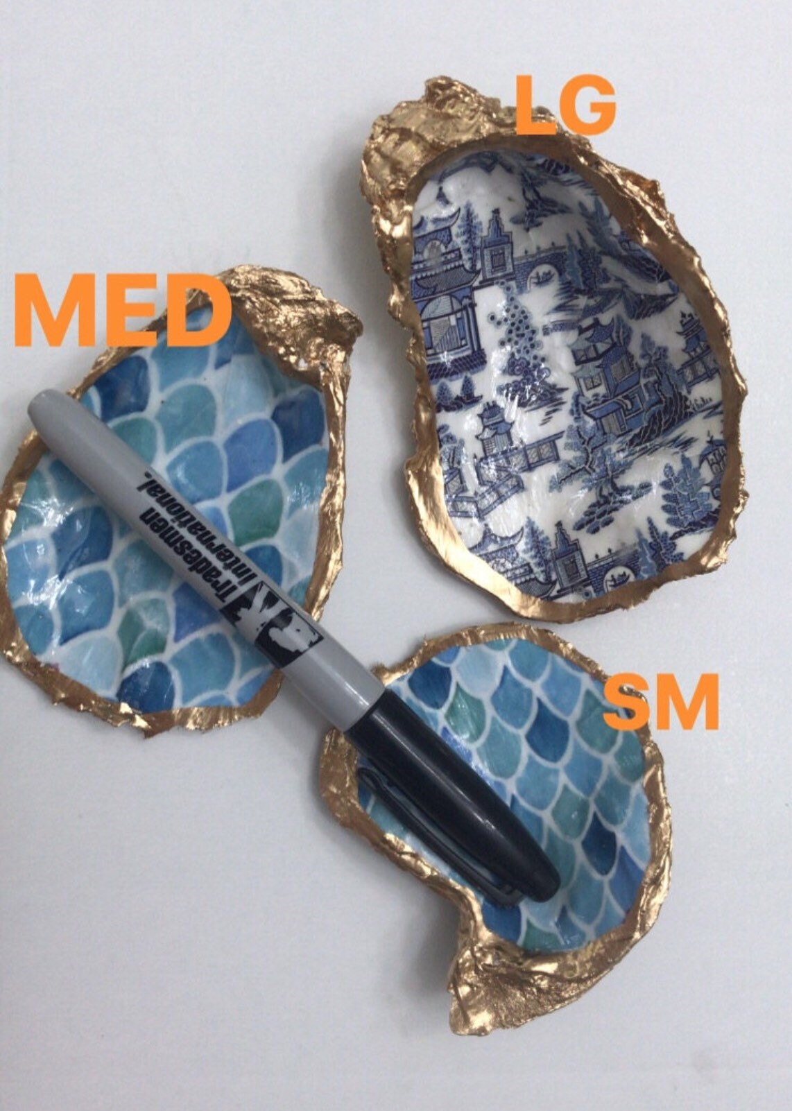 Design Your Own Oyster Shell - Etsy