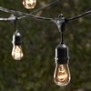 Gothic Black Bat Fairy Lights. Halloween Home Decor String Lights ...