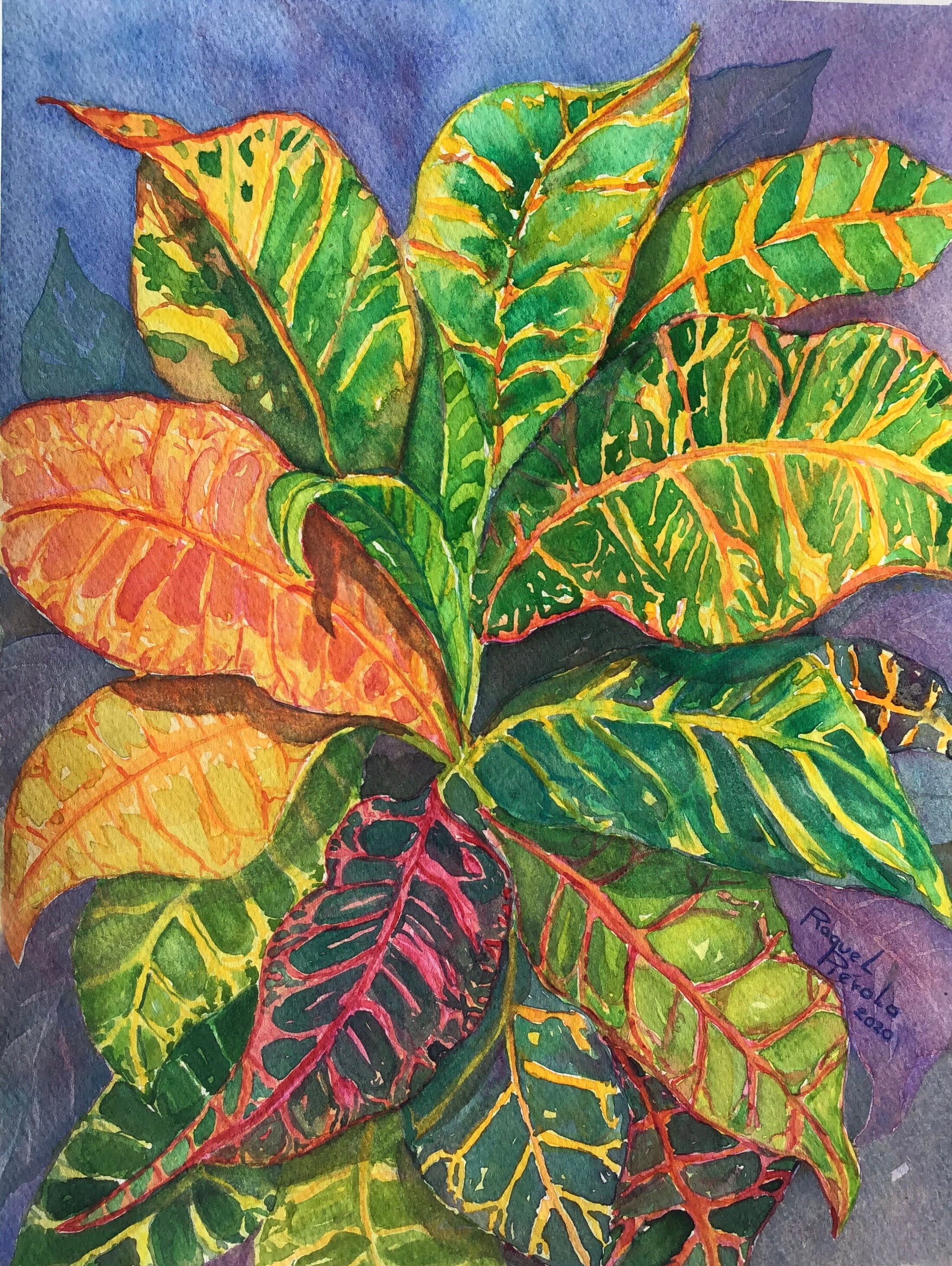 Colorful Crotons Colorful Watercolor Painting 100% - Etsy
