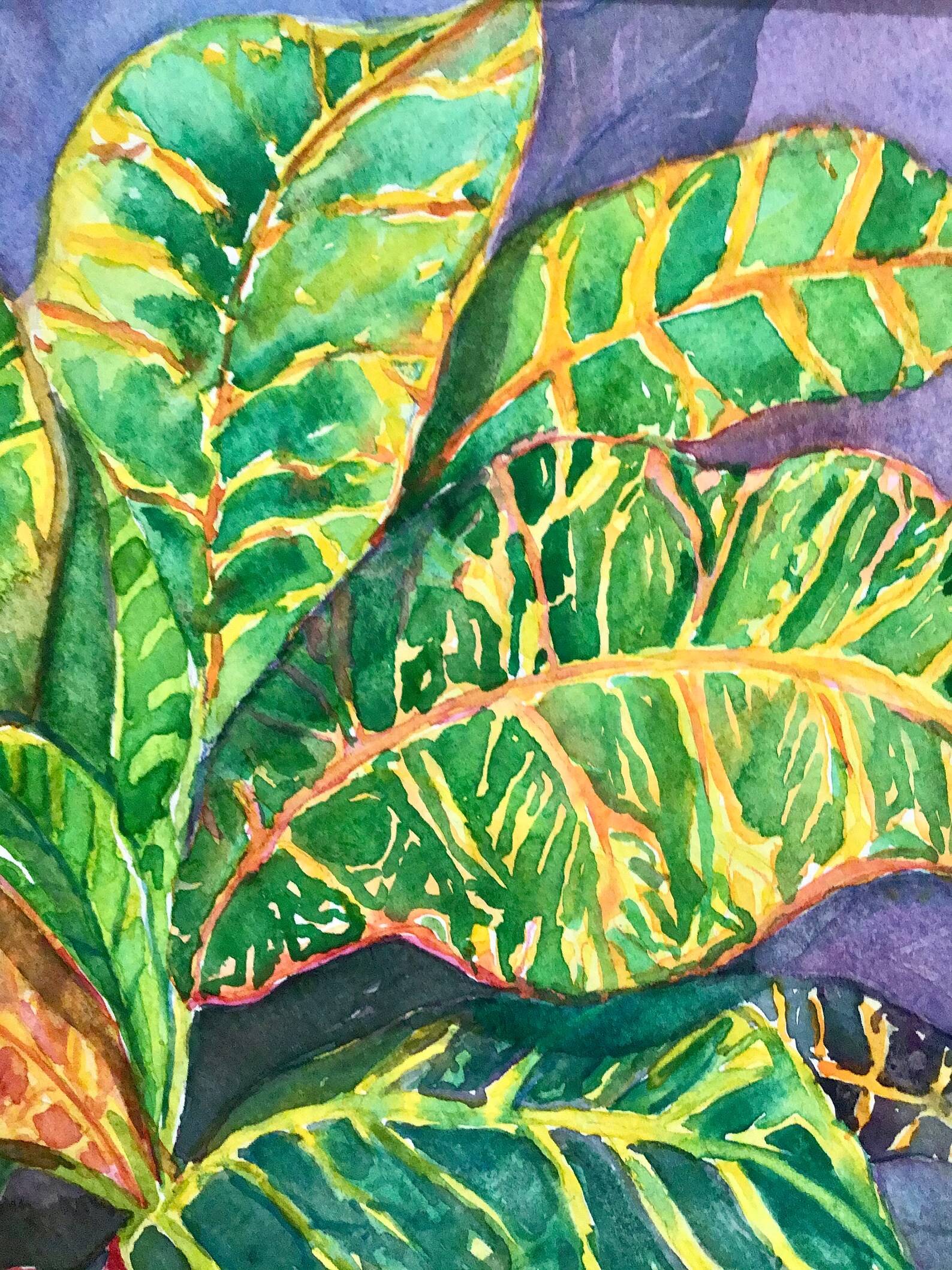 Colorful Crotons Colorful Watercolor Painting 100% - Etsy