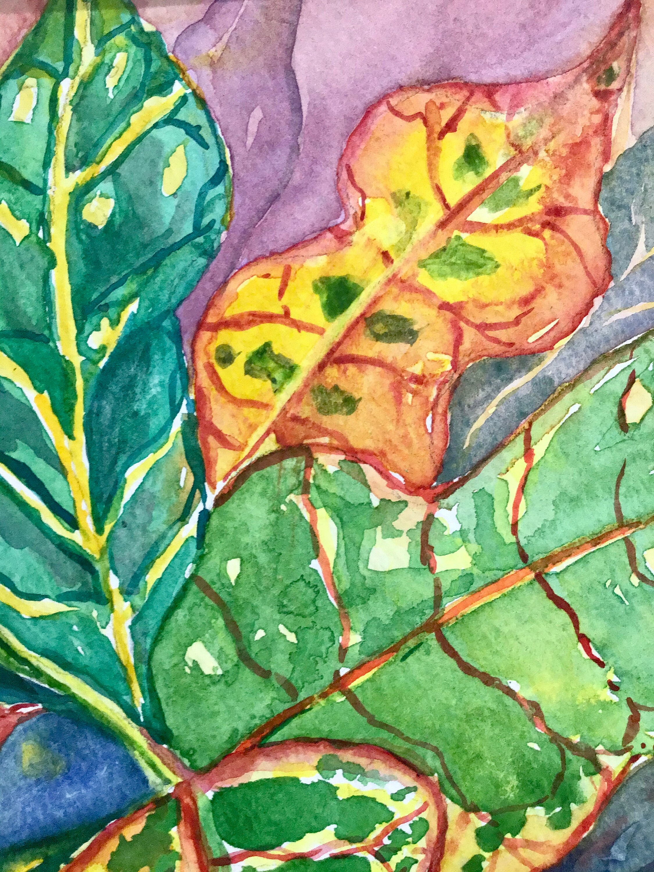 Colorful Crotons Colorful Watercolor Painting 100% Original Watercolor ...