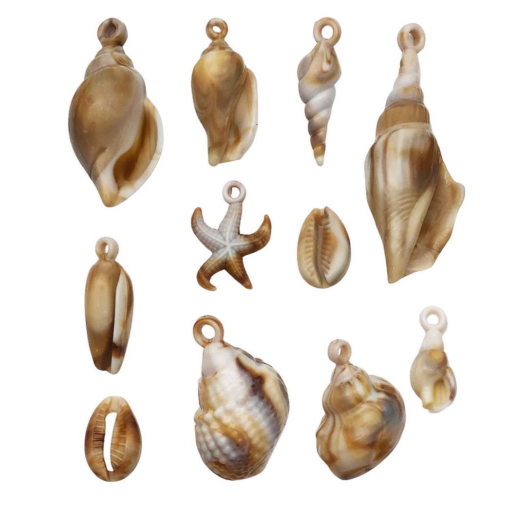 20/22pcs Acrylic Natural Beach Spiral Seashell Charms Seashell Loose ...