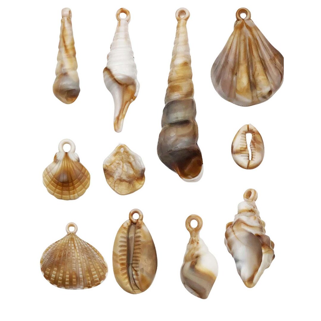 10/22pcs Acrylic Natural Beach Spiral Seashell Charms Seashell Loose ...