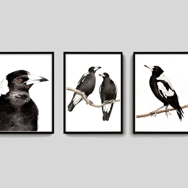 Australian Magpie - Etsy Australia