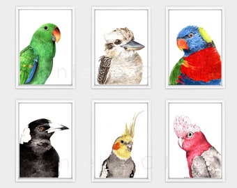 Bird Poster | Etsy Australia