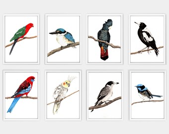 Bird Poster | Etsy Australia