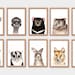 Set of 10 Australian Animal Prints Watercolour Australian Animals ...