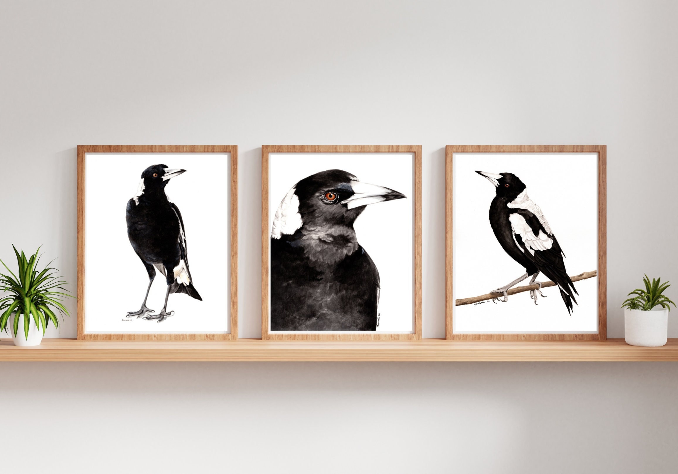 Set of Three Watercolour Magpie Prints - Native Australian Bird Art ...