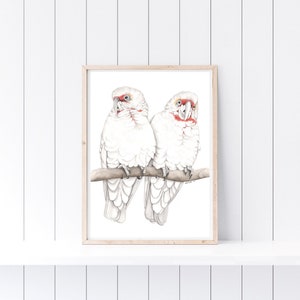 Watercolour Long-billed Corellas Print Native Australian Bird Prints ...