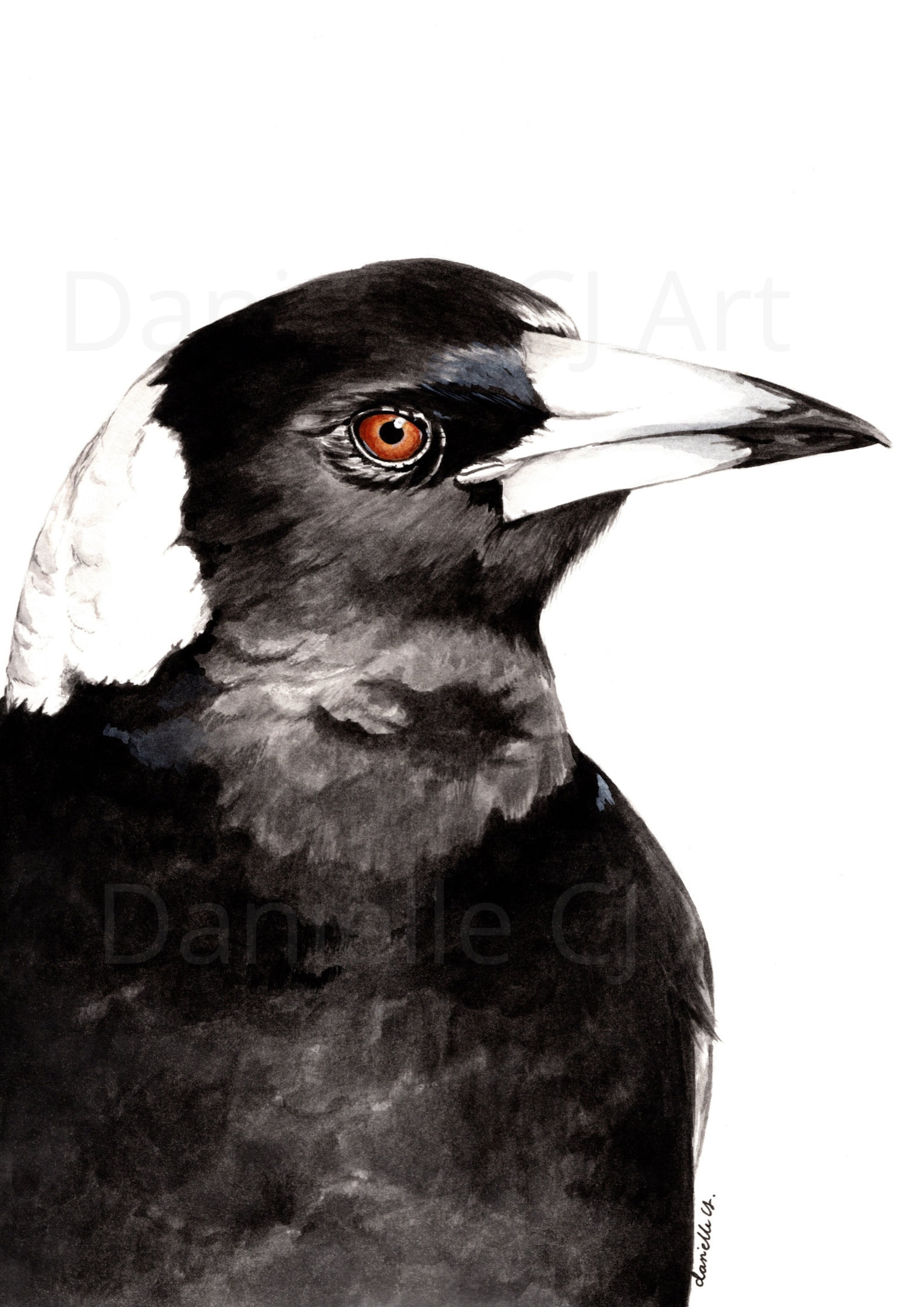 Set of Three Watercolour Magpie Prints - Native Australian Bird Art ...