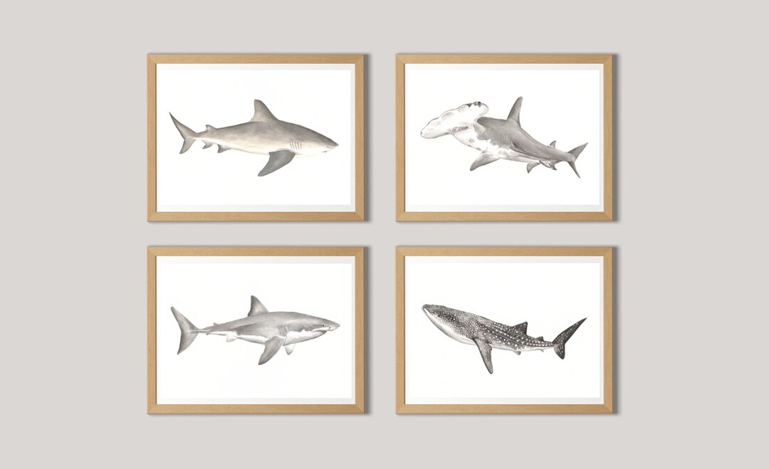 Set of Four Watercolour Shark Prints - Bull Shark, Hammerhead Shark ...