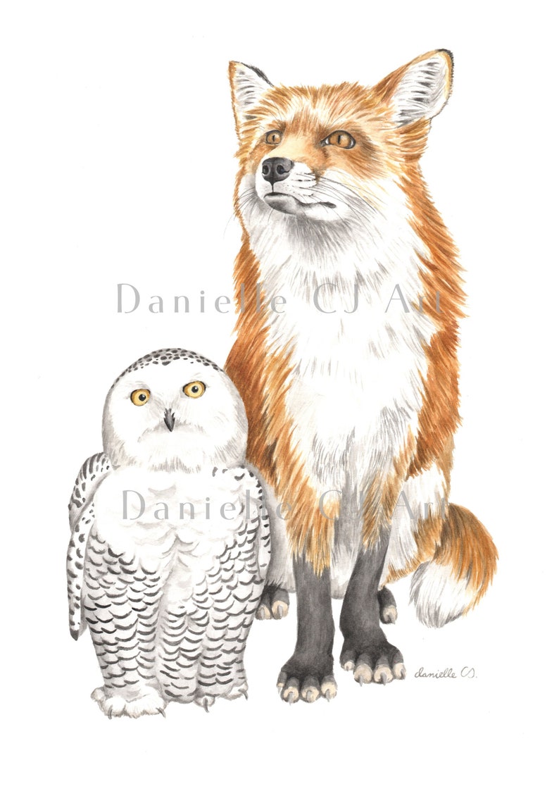 Watercolour Snowy Owl and Fox Friends Print Woodland Animal Prints - Etsy