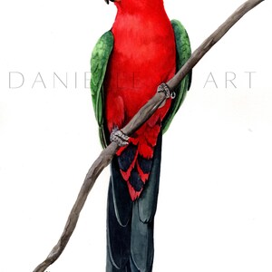Digital Download - Set of 4 Watercolour Vibrant Australian Bird Prints ...