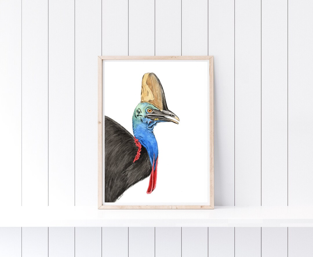 Watercolour Southern Cassowary Print - Australian Animal Artwork - Etsy