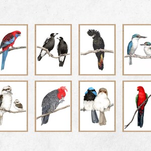 Set of 8 Native Australian Bird Prints - Etsy