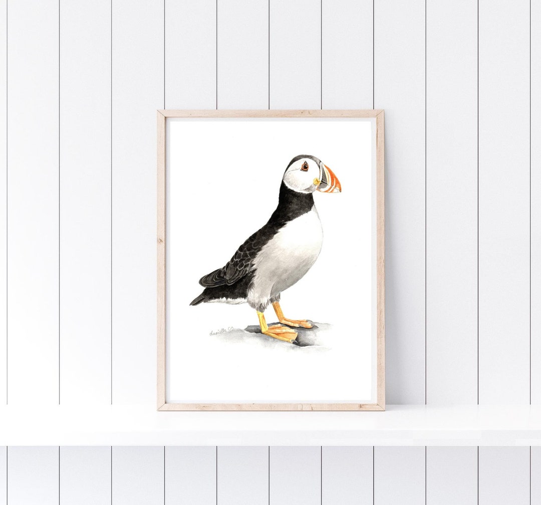 Watercolour Atlantic Puffin Print - Etsy