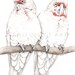 Watercolour Long-billed Corellas Print Native Australian Bird Prints ...