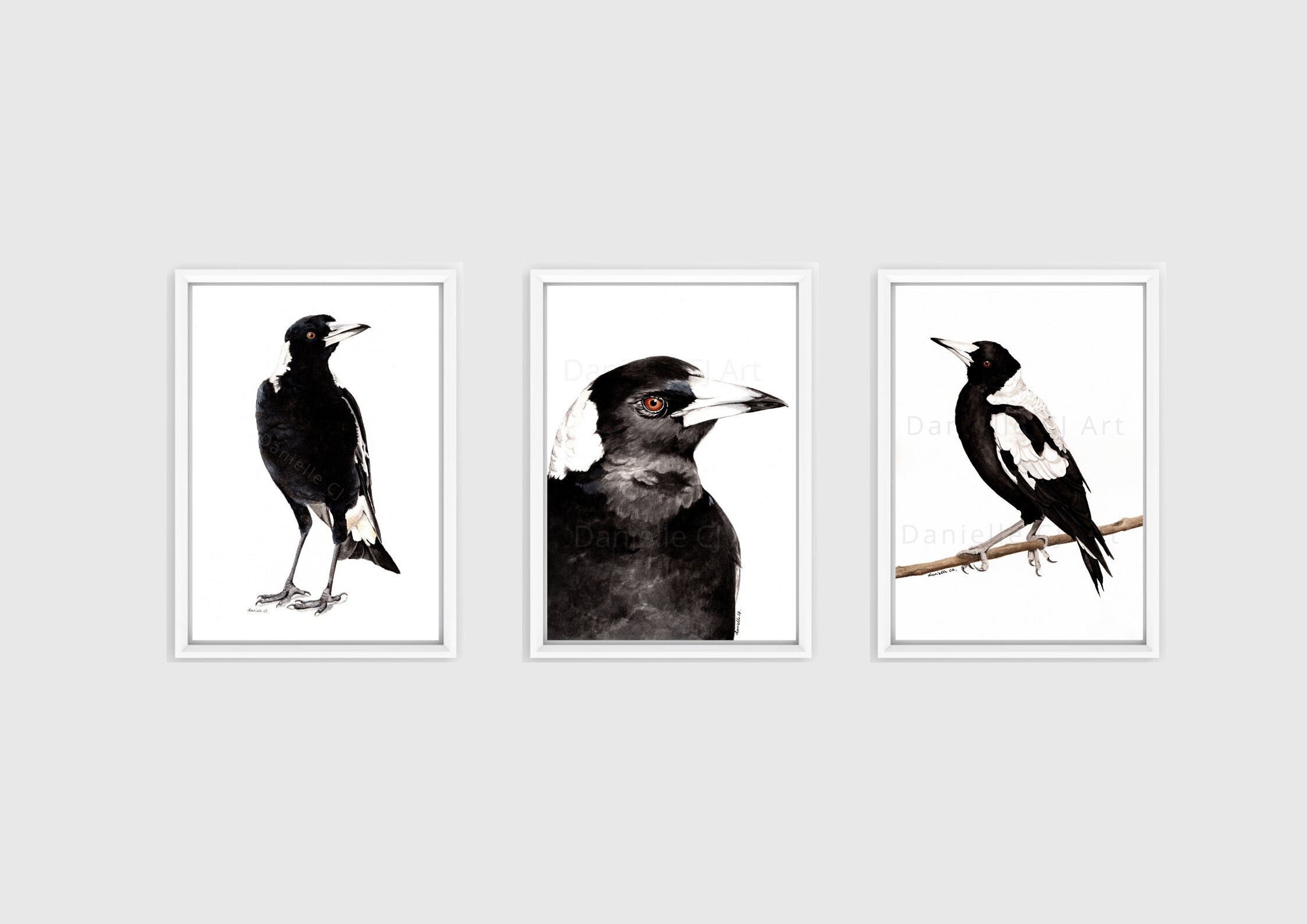 Set of Three Watercolour Magpie Prints Magpie Bird Print - Etsy Australia
