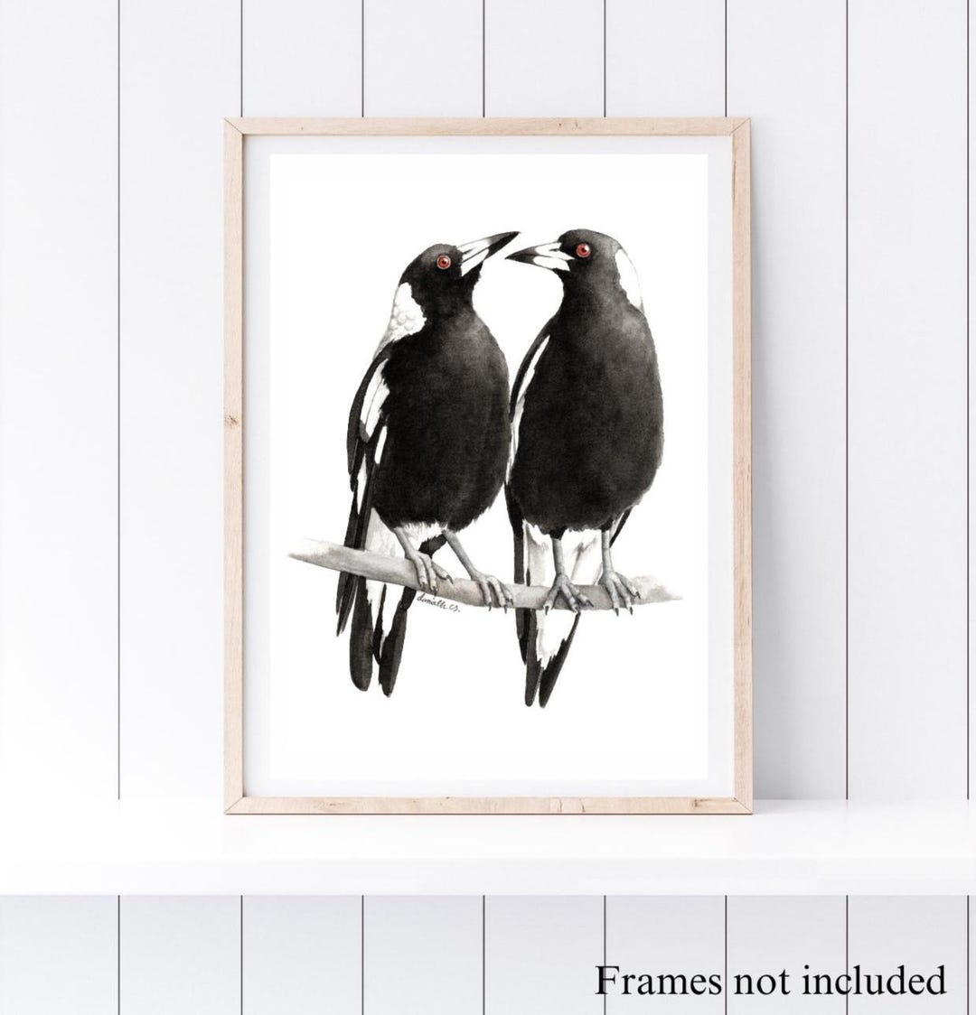 Watercolour Australian Magpie Couple Print - Native Australian Bird ...