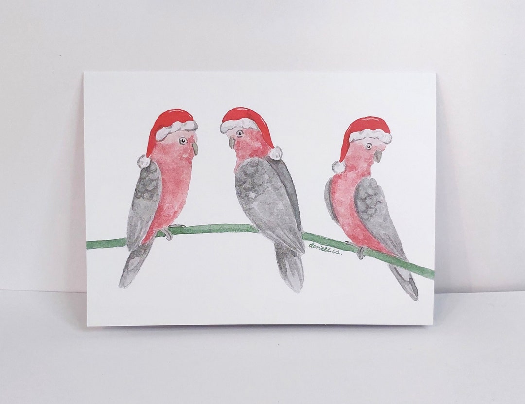 3 Pack Galah Christmas Cards Australian Christmas Cards - Etsy Australia