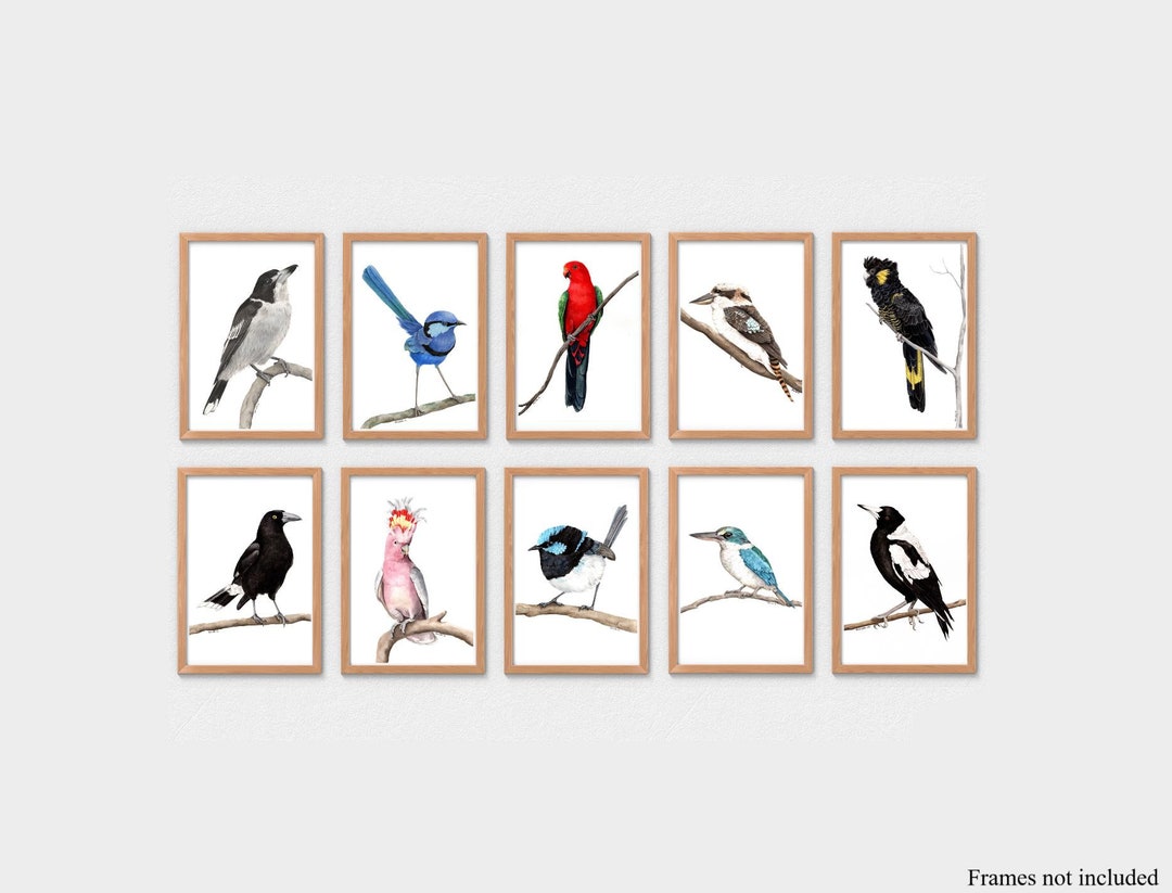 Set of 10 Native Australian Bird Prints - Watercolour Australian Bird ...