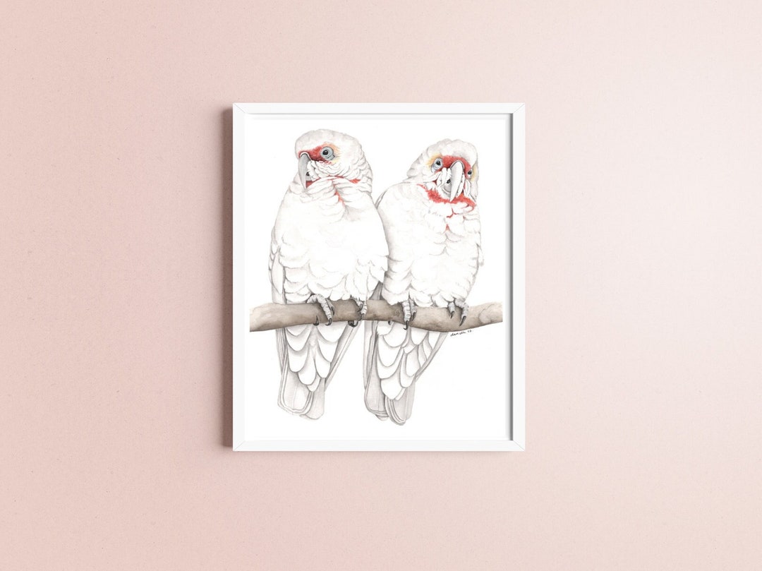 Watercolour Long-billed Corellas Print Native Australian Bird Prints ...