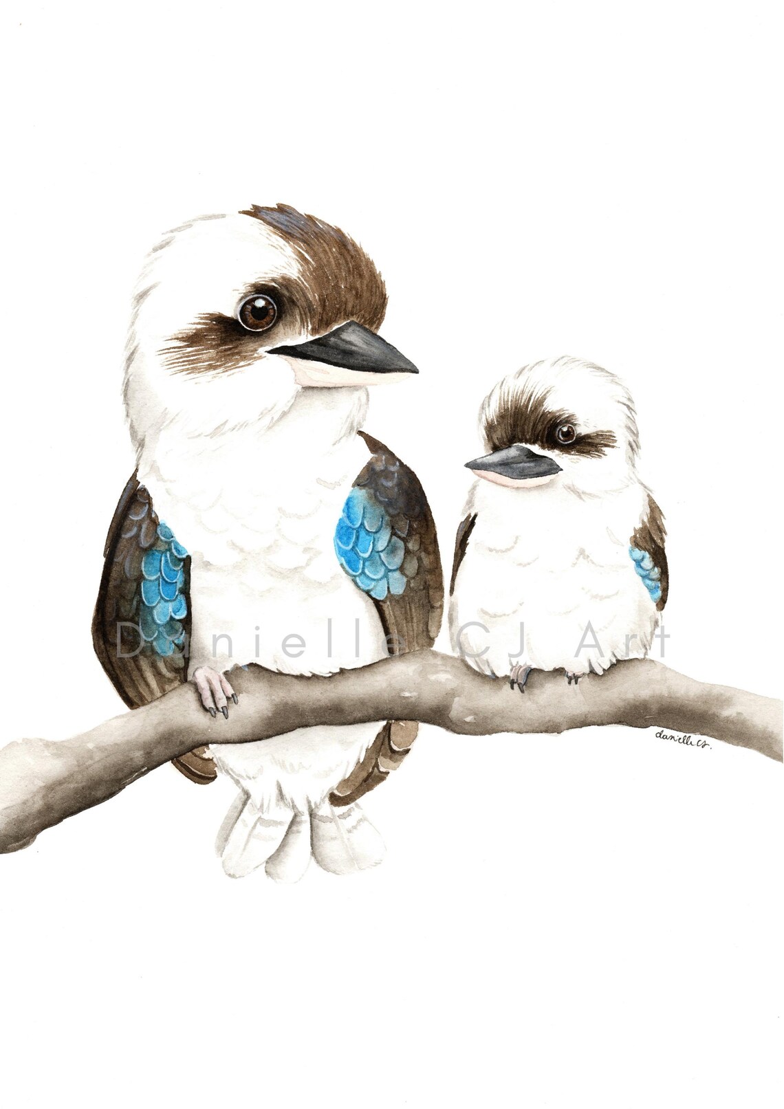 Watercolour Laughing Kookaburra Mother and Baby Print - Native ...