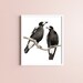 Watercolour Australian Magpie Print Native Australian Bird Art - Etsy ...