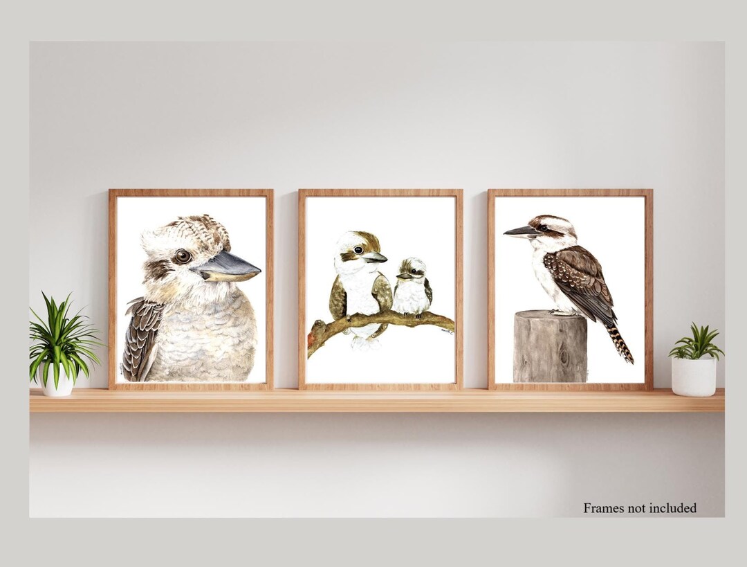 Set of Three Watercolour Kookaburra Prints - Native Australian Bird Art ...