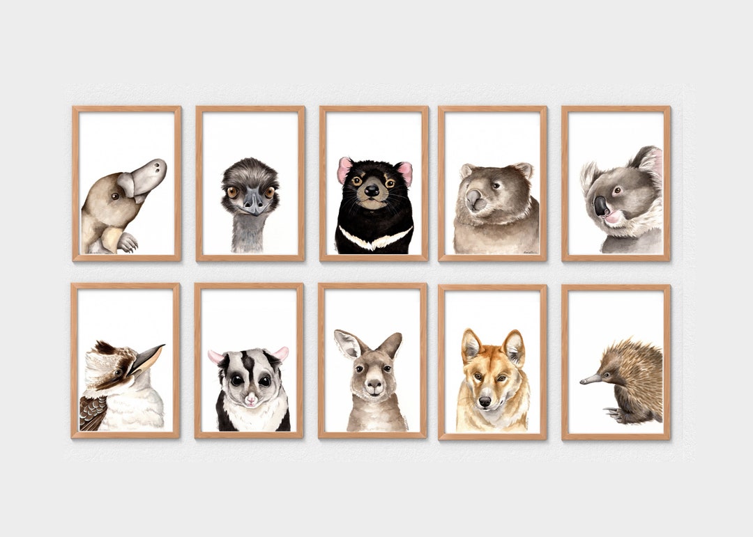 Set of 10 Australian Animal Prints Watercolour Australian Animals ...