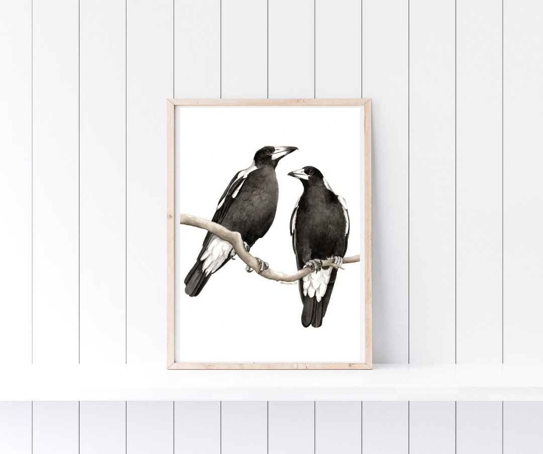 Watercolour Australian Magpie Print Native Australian Bird Art - Etsy ...