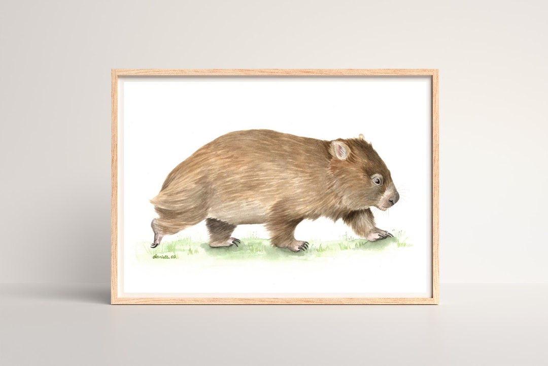 Digital Download Watercolour Wombat Artwork- Australian Animal Prints ...