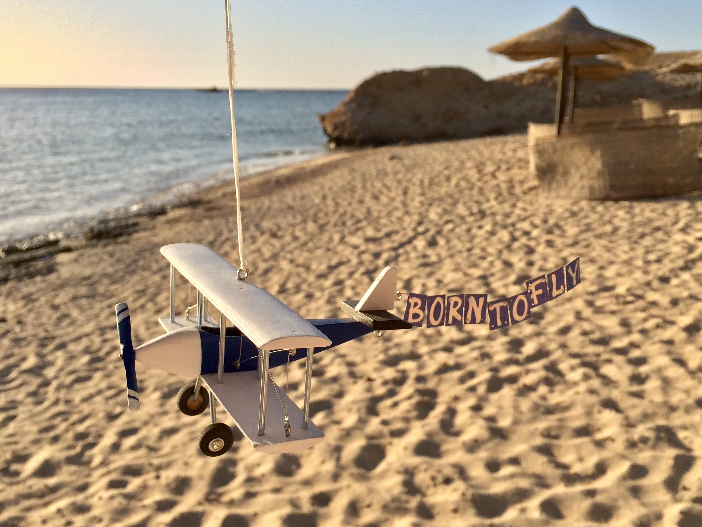 Personalized Wooden Plane With a Banner BORN TO FLY. Custom | Etsy