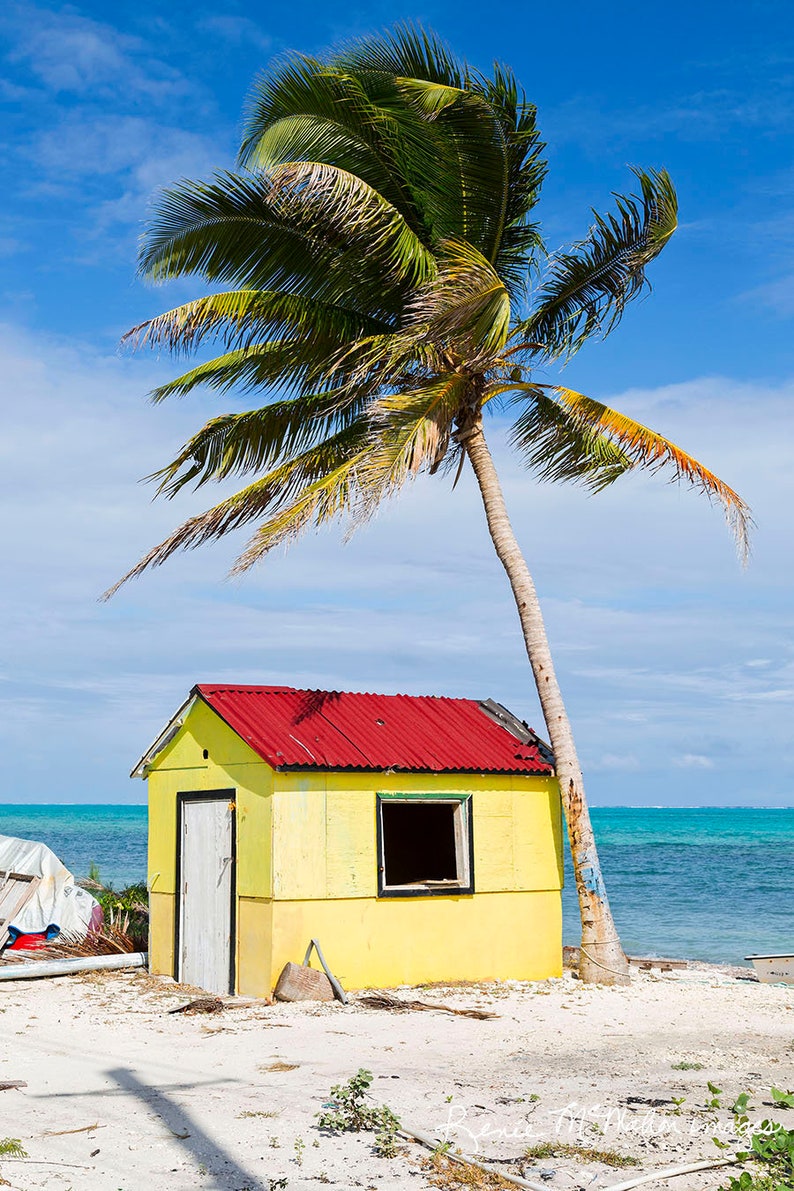 Caribbean Art, Turks and Caicos, Tropical Decor, Beach Print, Ocean ...