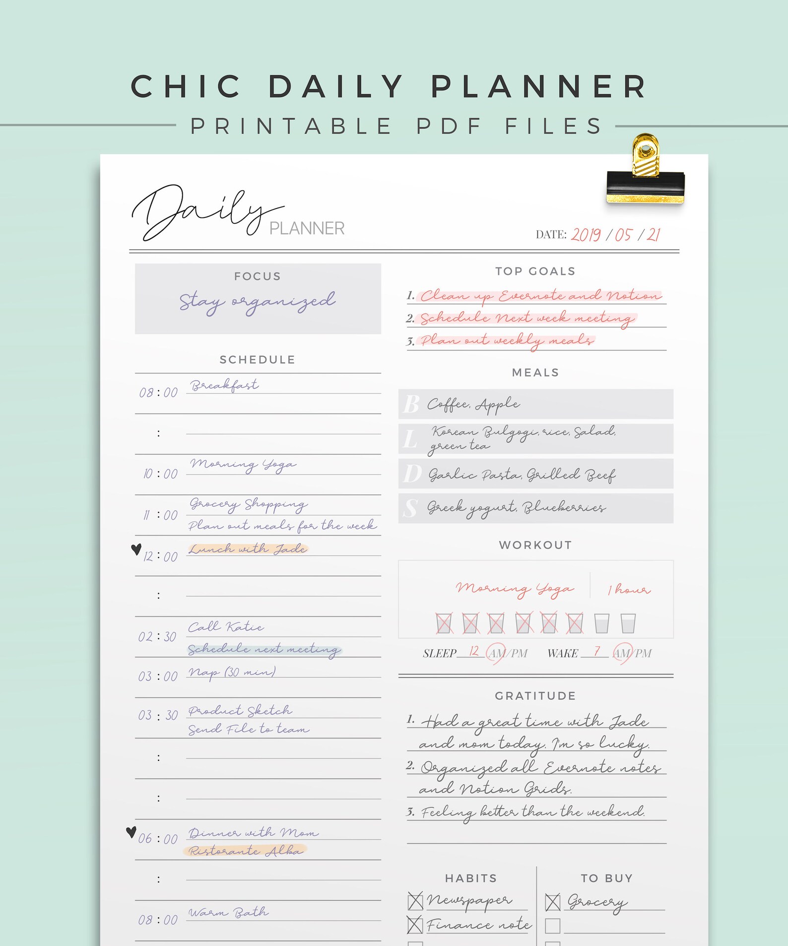 Chic Daily Planner | One Page Daily Planner, Printable Planner Inserts ...