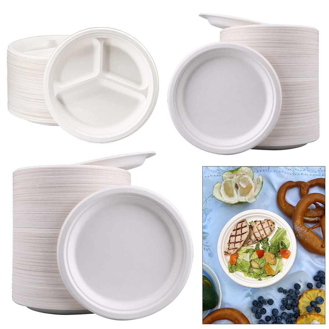 3 Compartment Disposable Plates Natural Compostable Strong - Etsy