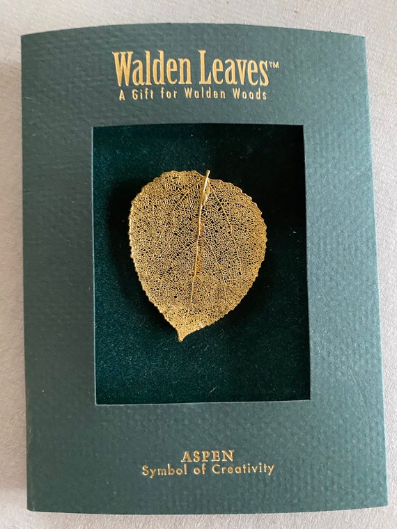 cartier gold aspen havana - Gem