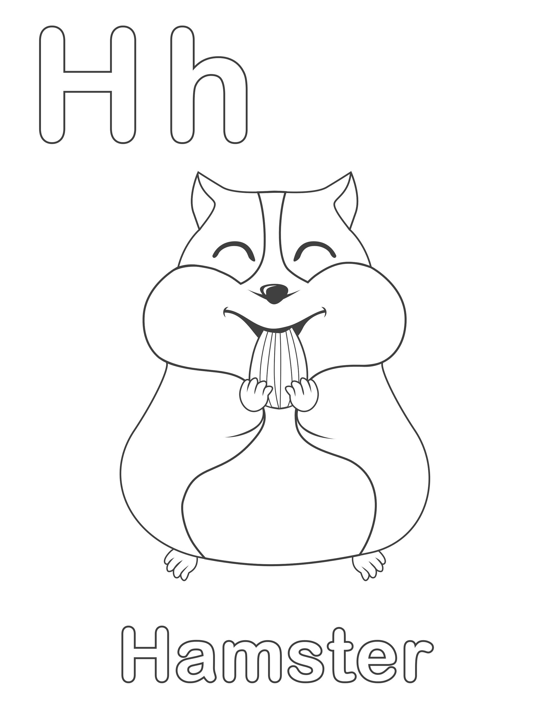 Preschool Kindy Coloring Alphabet Sheet - Etsy