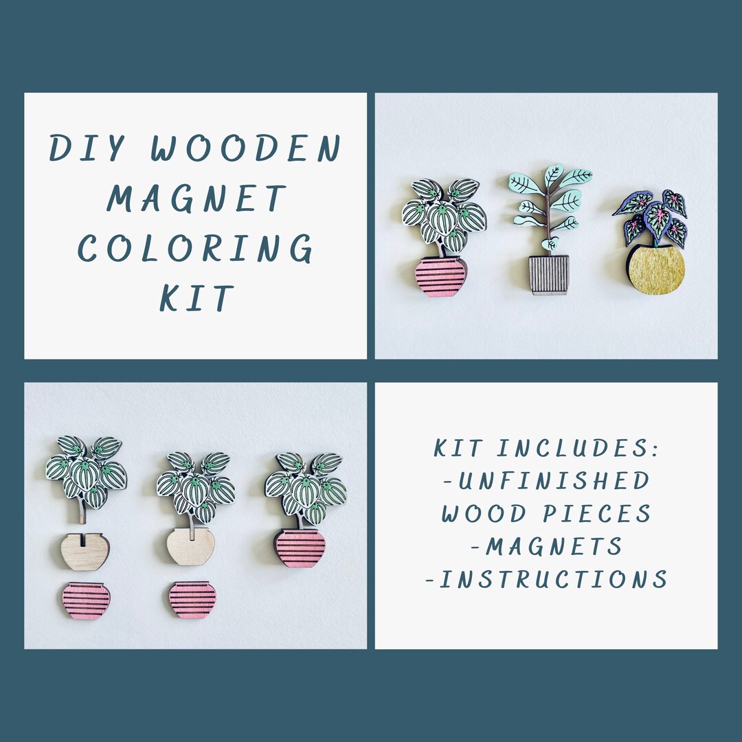 DIY Wooden Coloring Magnet Kit Rex Begonia, Watermelon Peperomia and ...