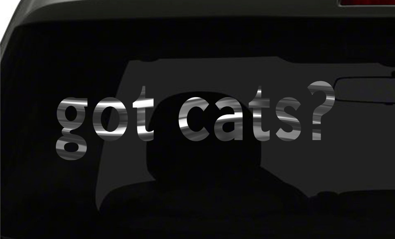 Got cats Sticker funny Cute Meow Kitten Pet Animals all - Etsy España