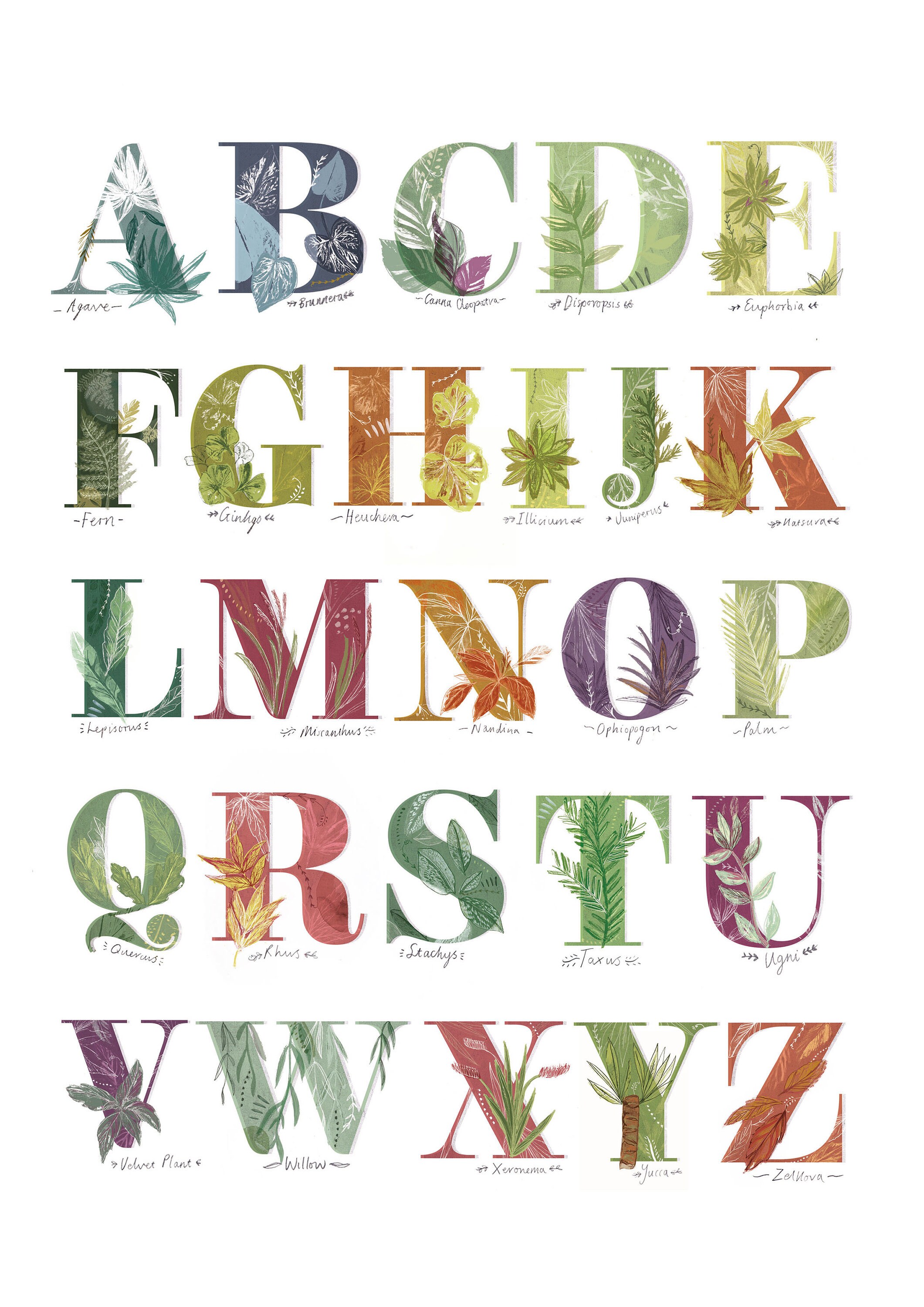 Botanical Alphabet Print A3 Unframed - Etsy