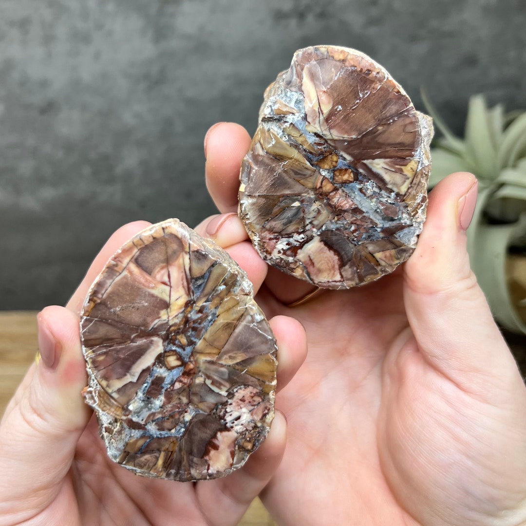 Cold Mountain Thunderegg Agate Pair | 2 Pcs | Polished Nodule | Mexican ...