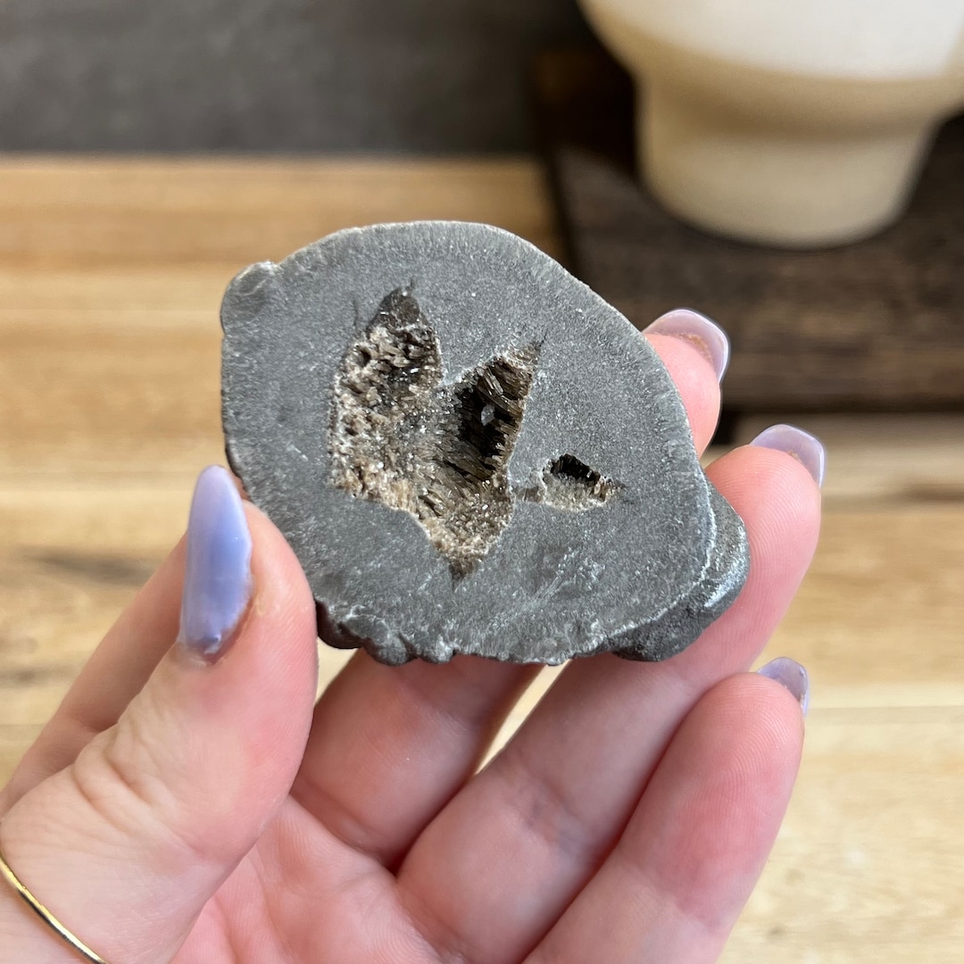Barite Septarian Nodule Geode Half | French Crystal Mineral Specimen ...